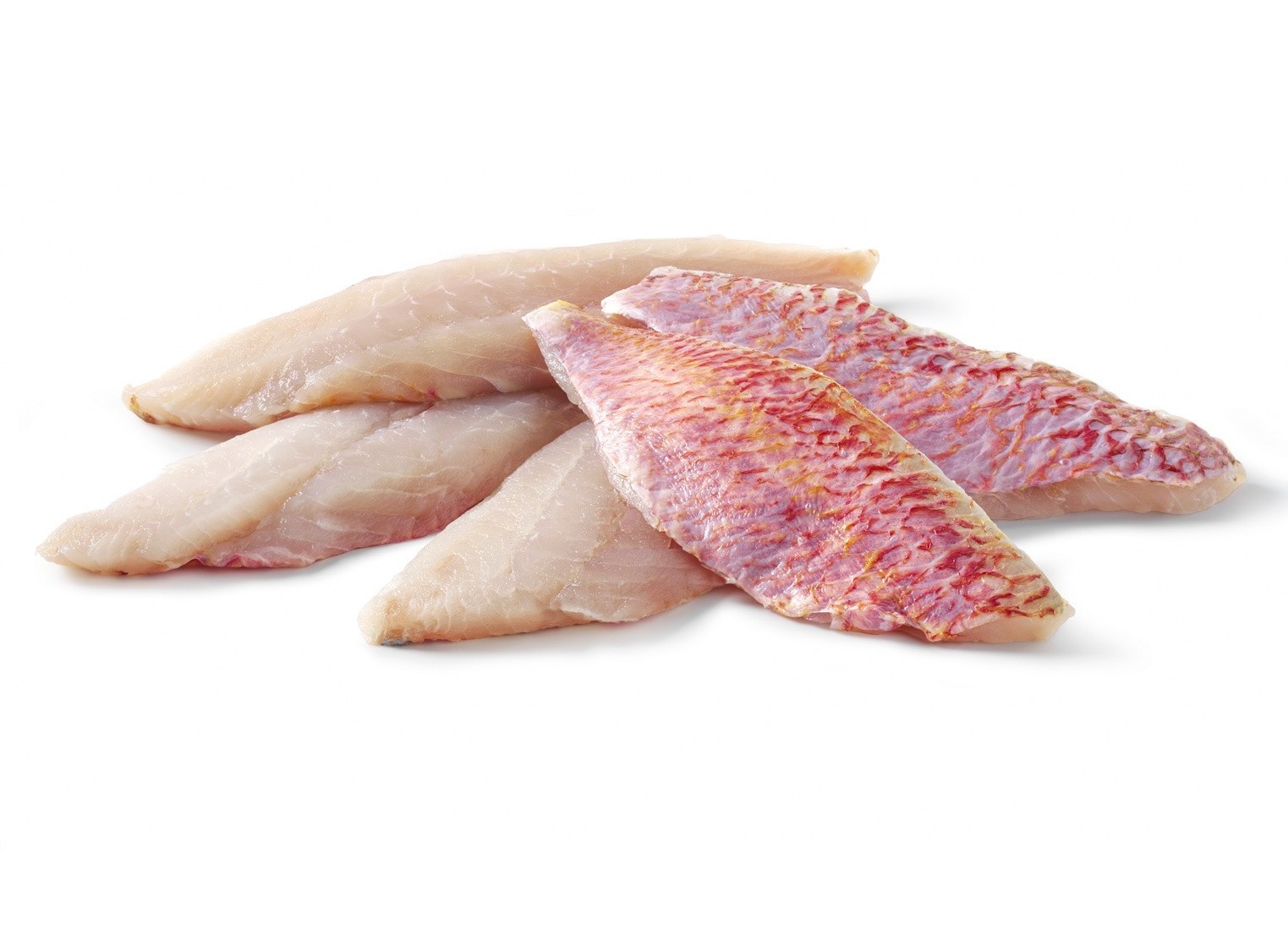 LVME Sofrimar – Portfolio